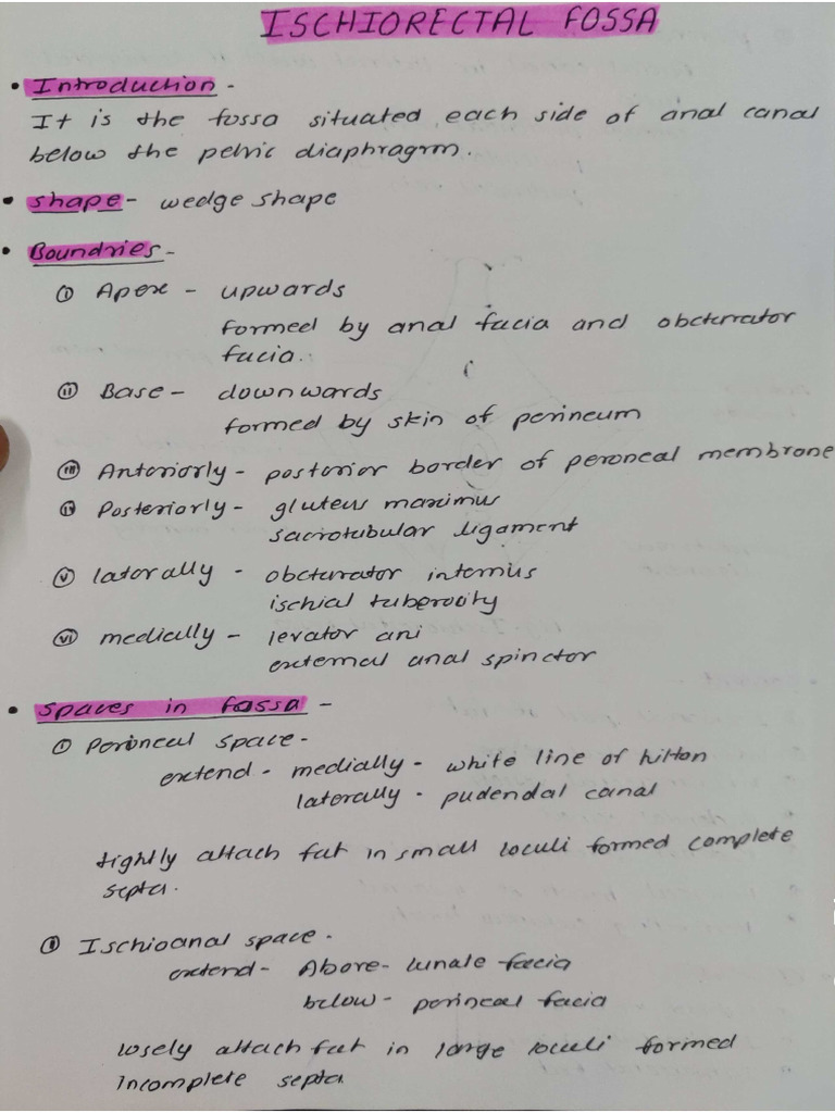 Ischiorectal Fossa SAQ 5 Marks | PDF