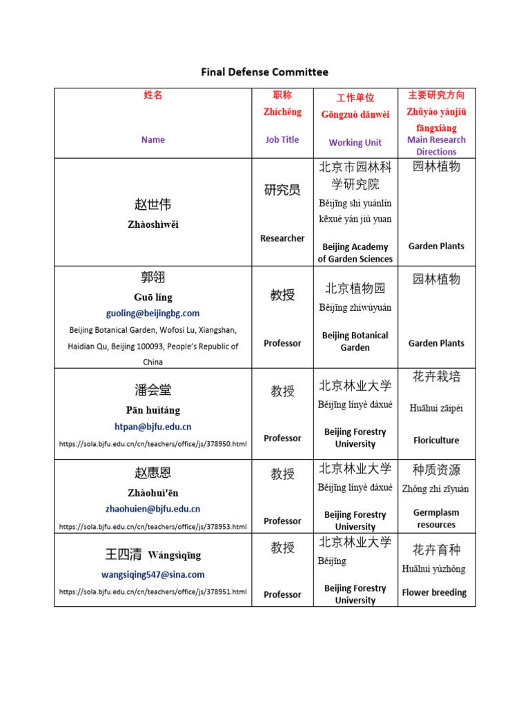 Final Defense Committee 250616 201501 | PDF