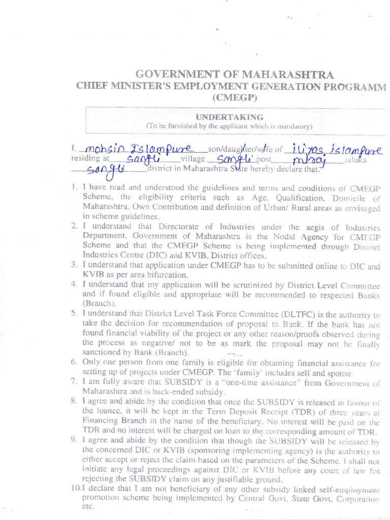 Mosin Undertaking | PDF