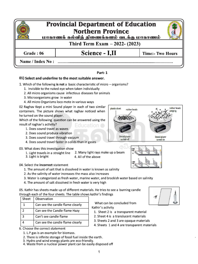 Gr6 en Science 2022 Term 3 | PDF