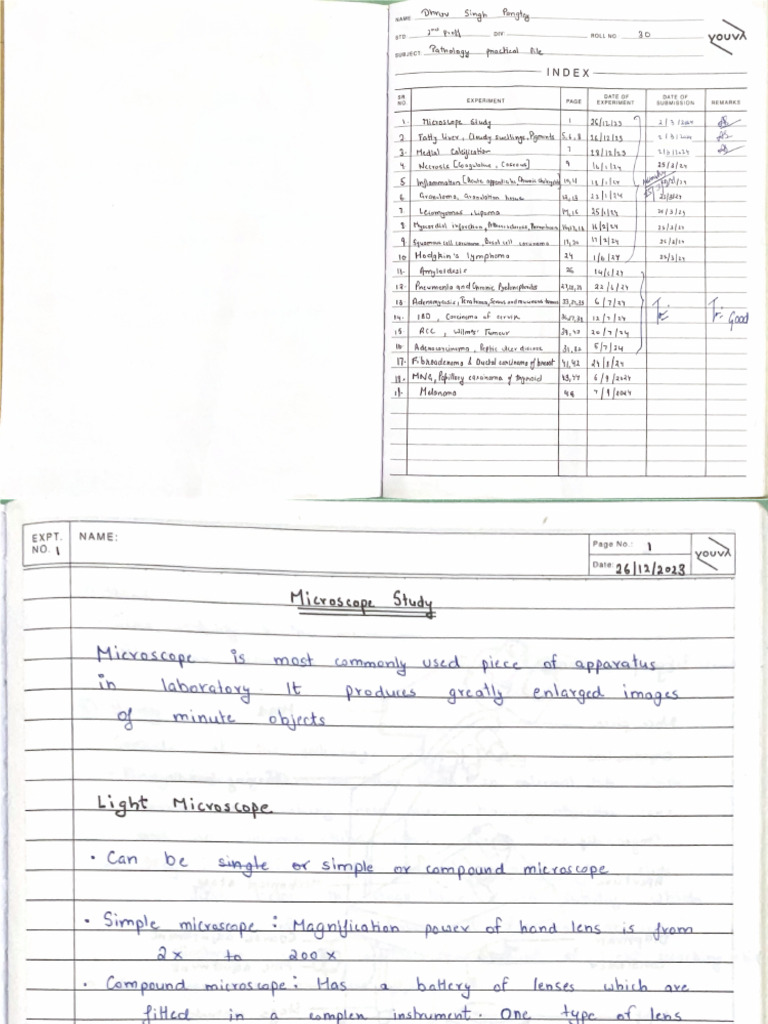 Pathology Practical 5 | PDF