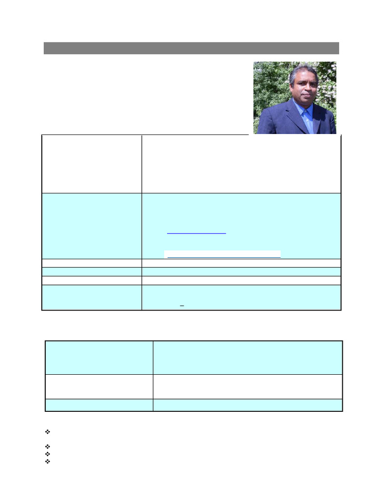 DR P Ravindran CV 08082023 | PDF | Superconductivity | Solid
