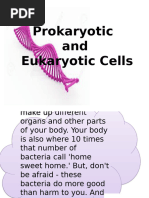 Prokaryotic Cells Revision Notes - A-Level Biology CIE - Cognito | PDF