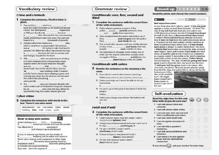 UNIT 6 Vocabulary and Grammar Review | PDF