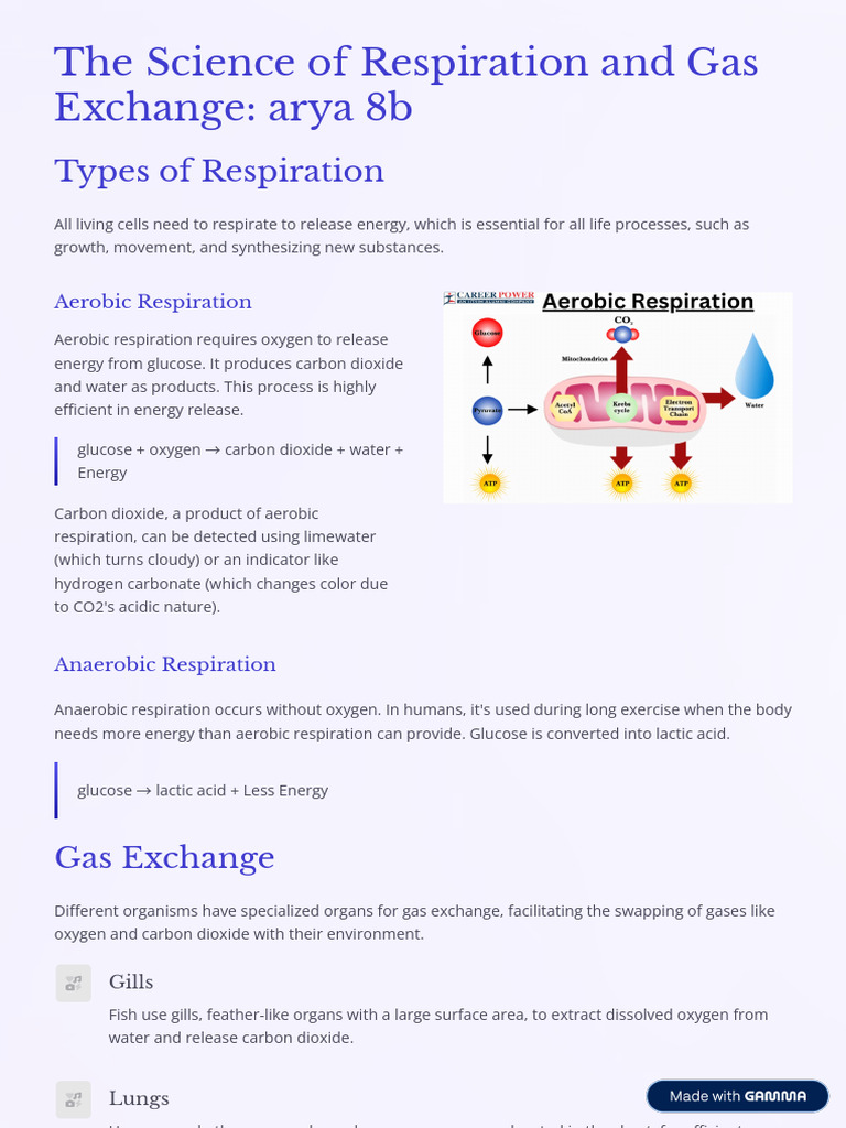 The Science of Respiration and Gas Exchange Arya 8b | PDF