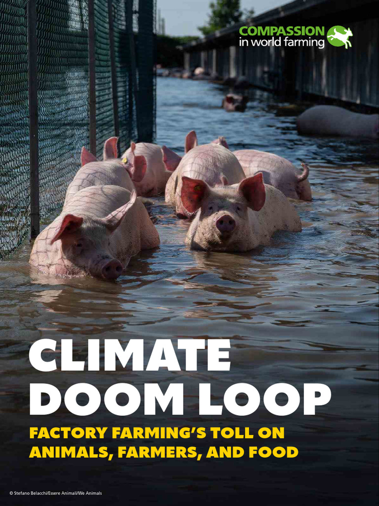 Ciwf 200625 Climate Doom Loop Report | PDF | Climate Change | Climate ...