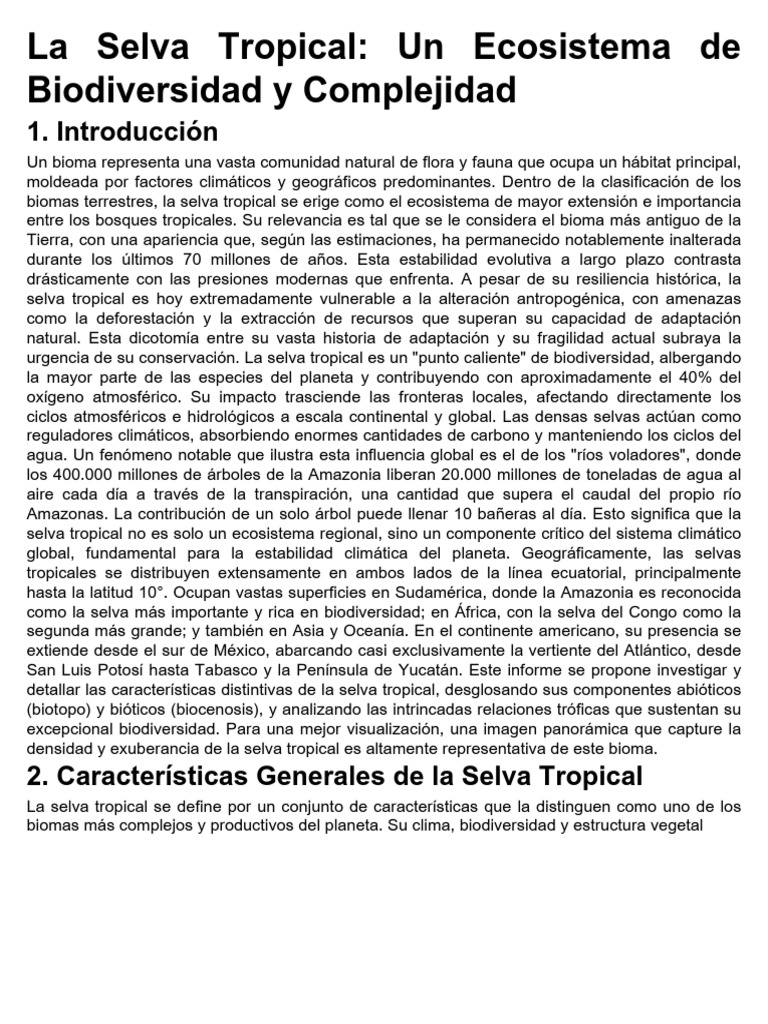 Bioma Selva Tropical - 20250617 - 041249 - 0000 | PDF | Selva | Suelo