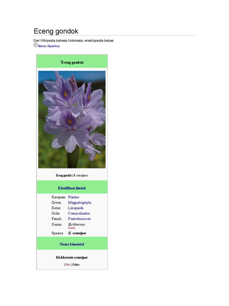 Eceng Gondok | PDF | Griya & Taman