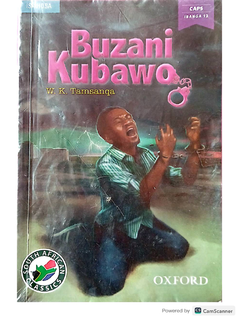 Buzani Kubawo | PDF