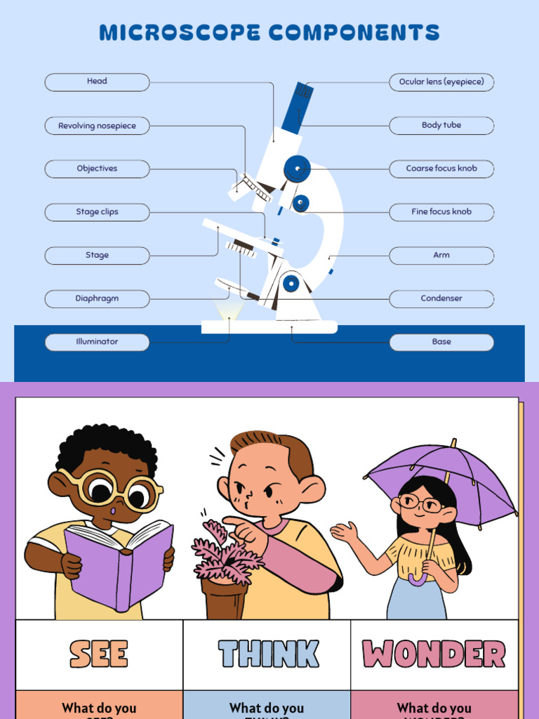 Microscope Components Digital Worksheet in Blue Illustrative Style | PDF