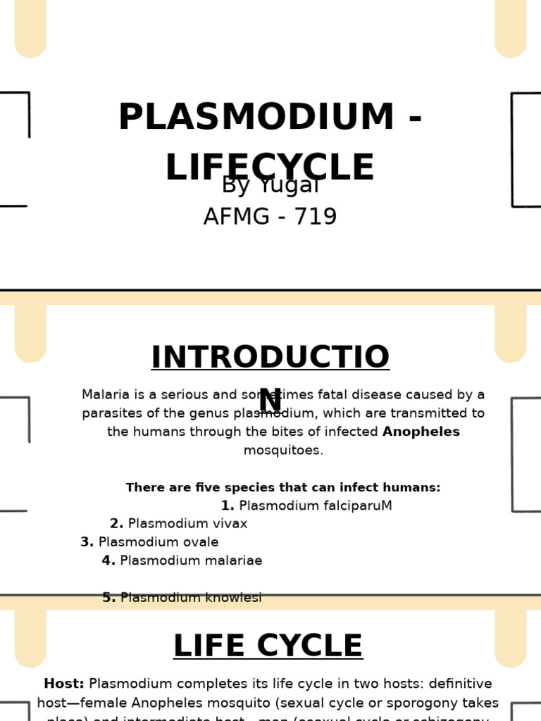 Plasmodium Life Cycle Explained | PDF | Plasmodium | Plasmodium Falciparum