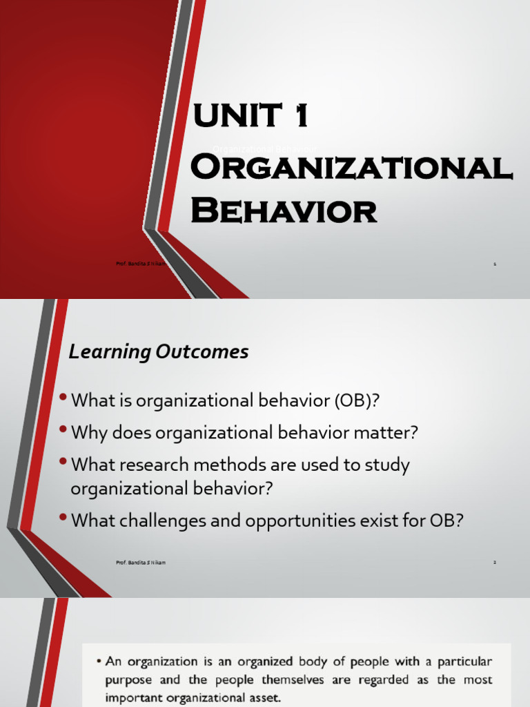 Understanding Organizational Behavior | PDF | Organizational Behavior ...