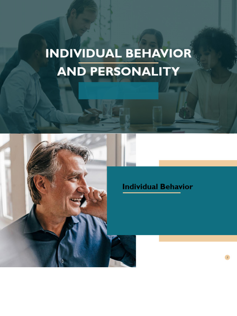 UNIT 2 - Individual Behaviour and Personality | PDF | Perception | Behavior