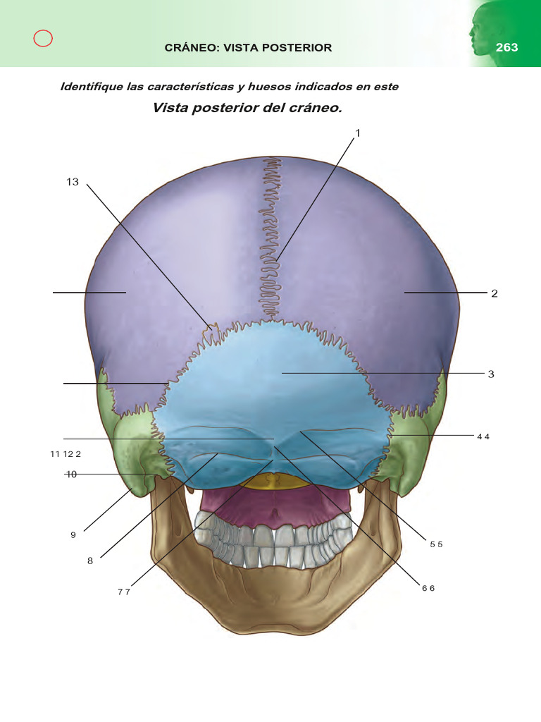 Ilovepdf Merged 2 | PDF