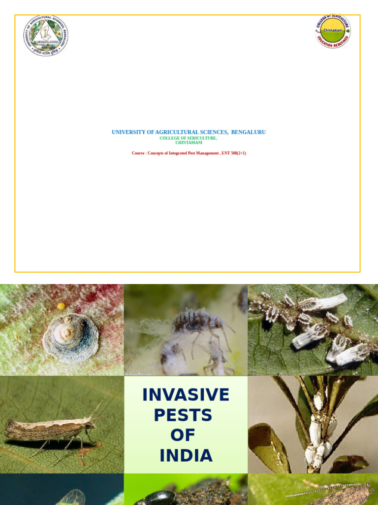 Invasive Pests Impacting India | PDF | Invasive Species | Introduced ...