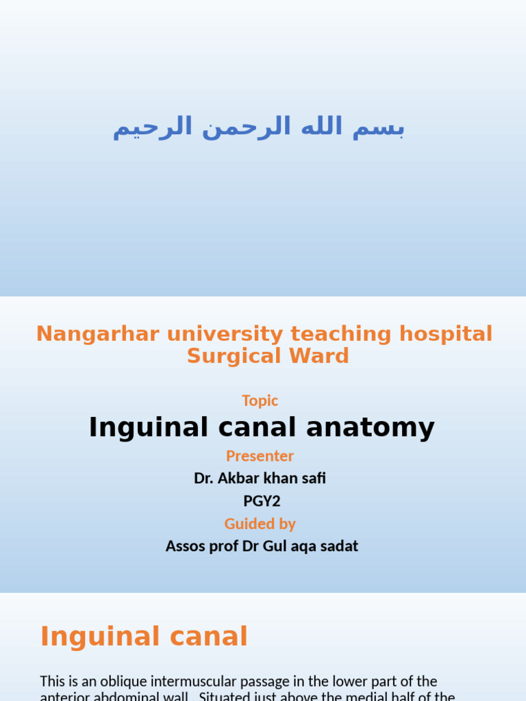 Inguinal Canal Anatomy Akbar Second Year | PDF