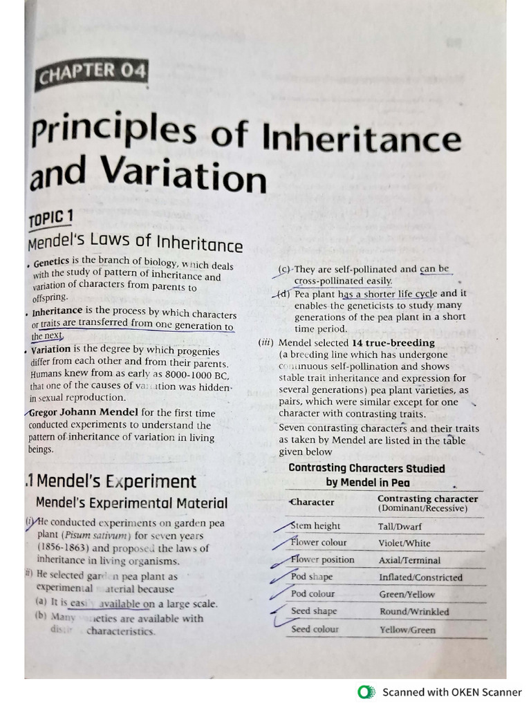 Class 12th Principle of Inheritance | PDF