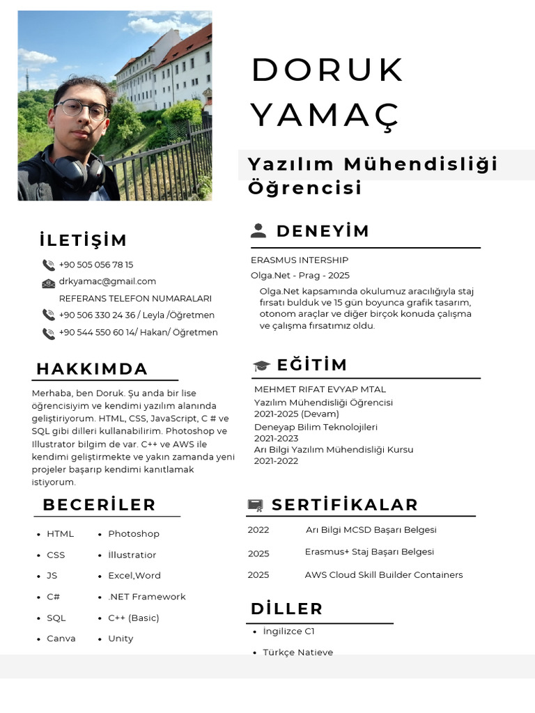 Türkçe CV Doruk | PDF