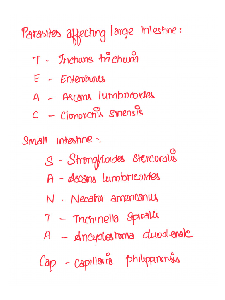 Parasites Affecting Large Intestine | PDF