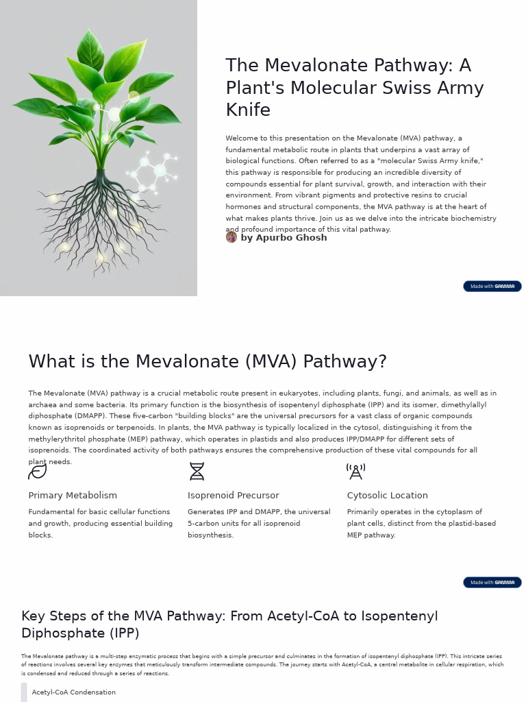 The Mevalonate Pathway A Plants Molecular Swiss Army Knife | PDF ...