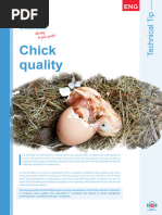 Hisex Brown Layer Management Guide | PDF | Selective Breeding | Chicken