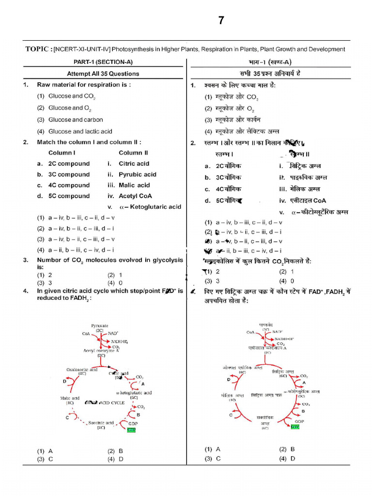 UBT Test 07 | PDF