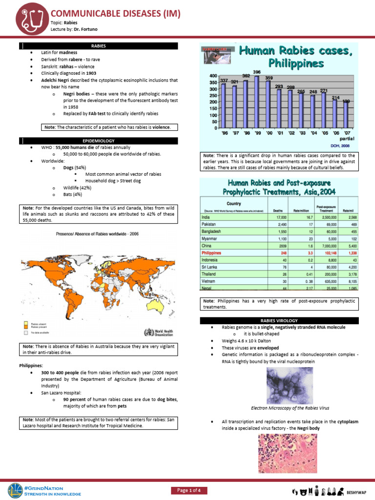 Rabies | PDF | Rabies | Virus