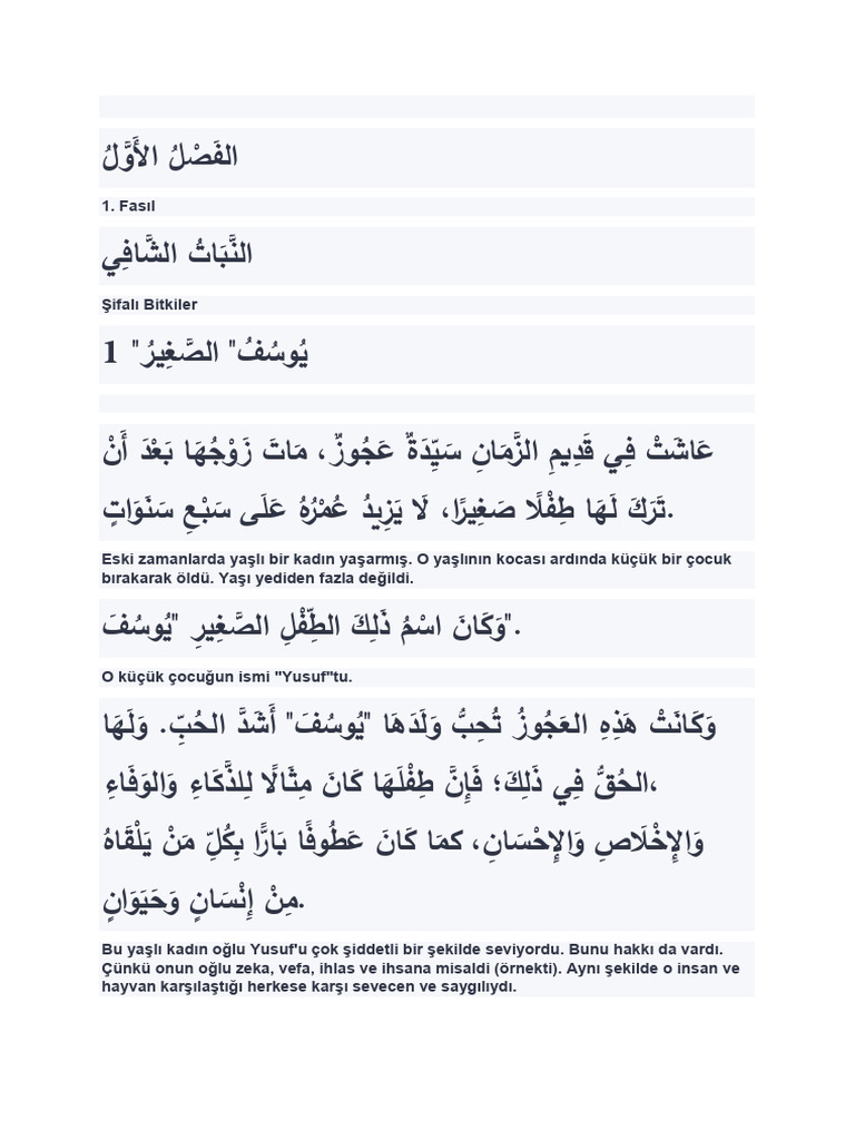 Arapça Şifalı Metinler | PDF