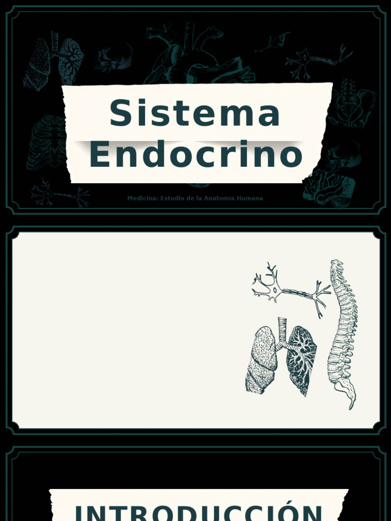 Presentación Diapositivas Biología Cuerpo Humano Vintage Marrón y ...