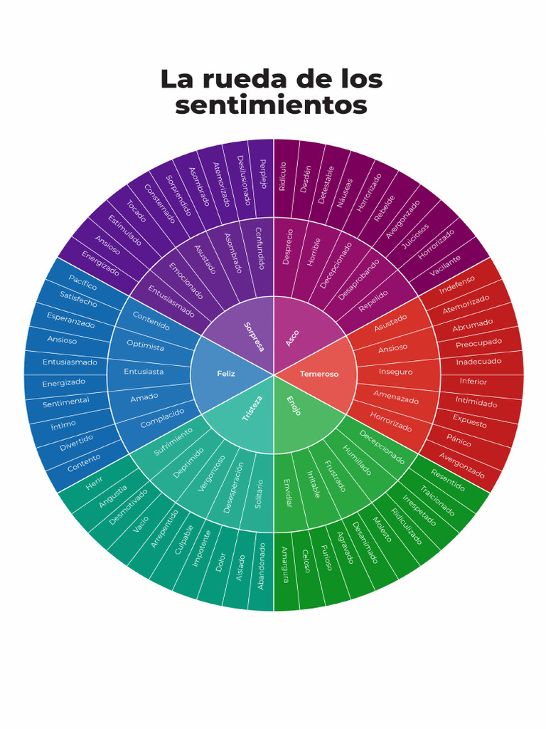 La Rueda de Los Sentimientos | PDF
