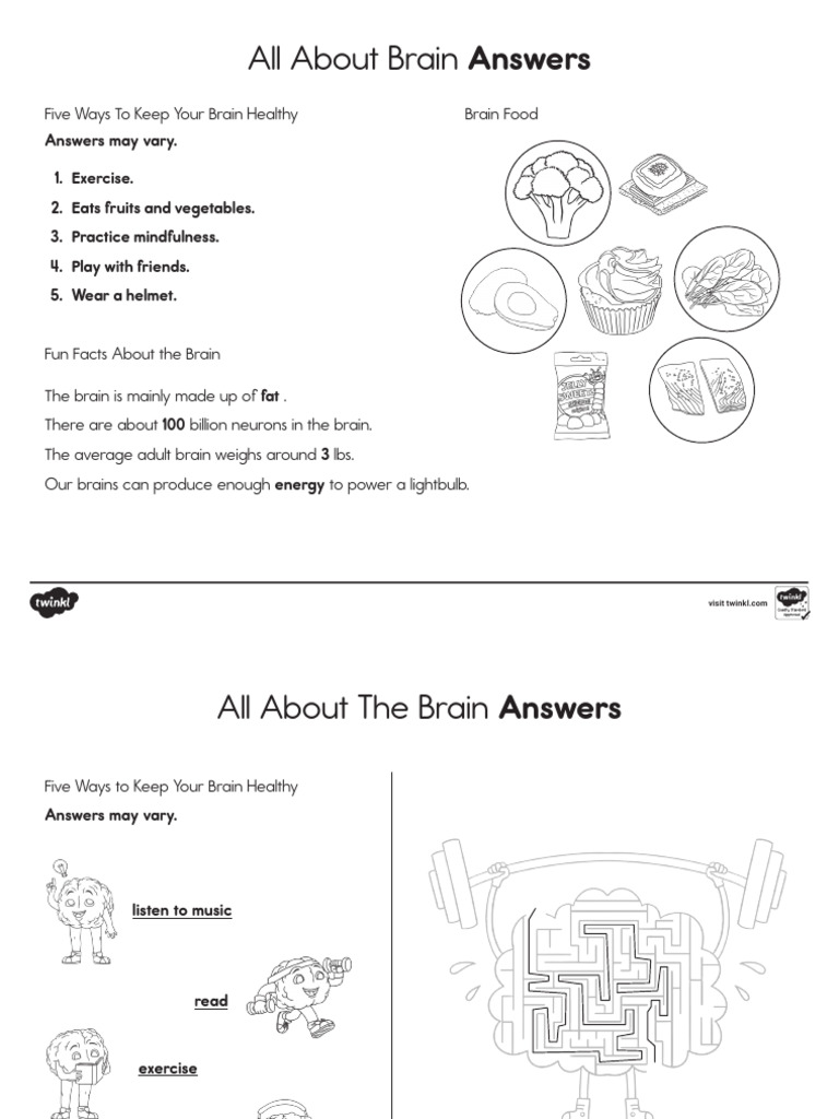 Answers - All About The Brain A Mini Research Book For K-2nd Grade | PDF