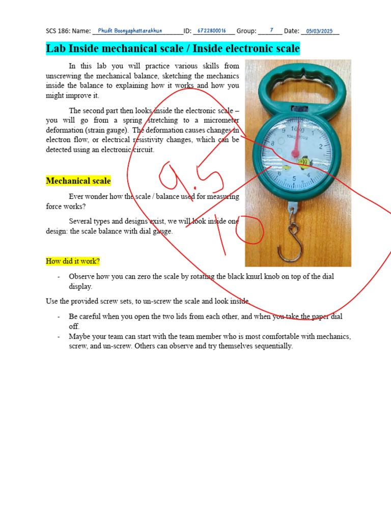 Mechanical and Electronic Scale Lab Guide | PDF | Weight | Sheet Metal