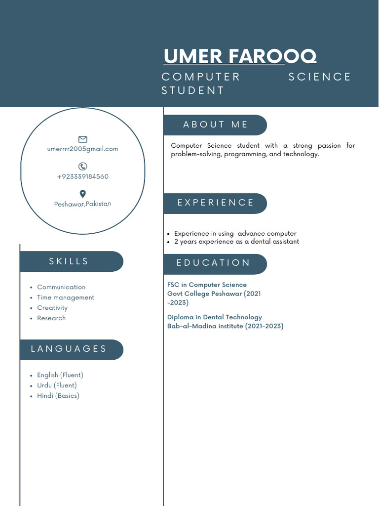 Grey and White Modern Resume CV | PDF