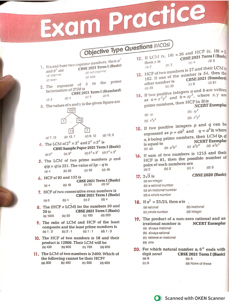 Chapter 1 maths class 10 | PDF