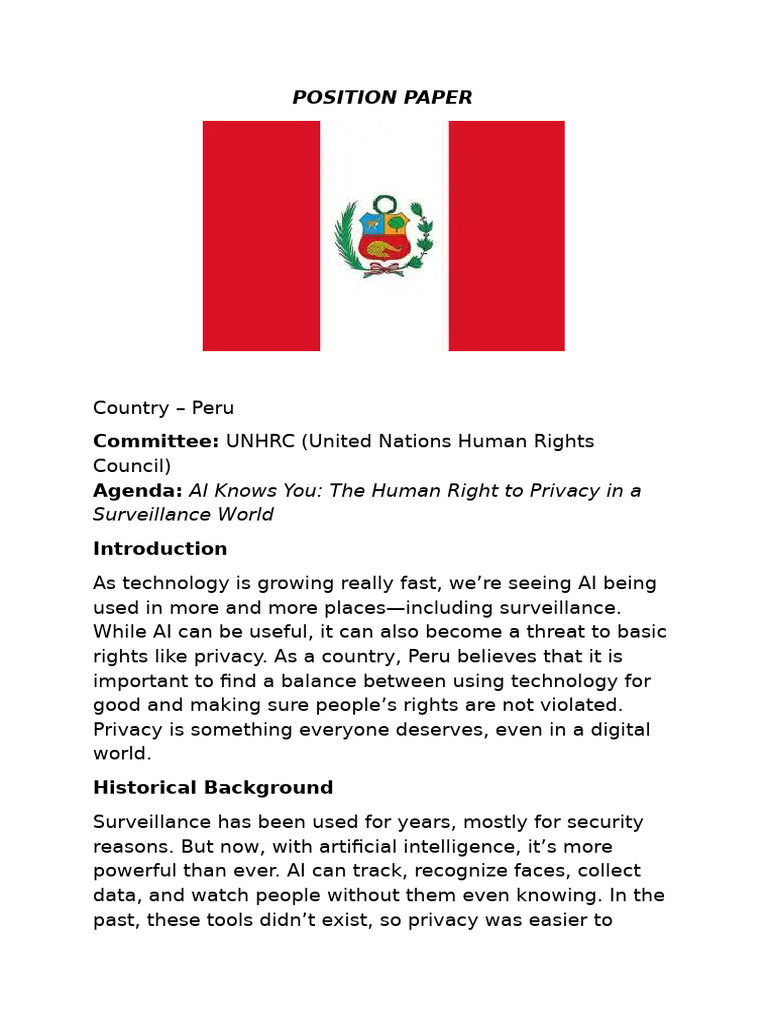 Peru's Stance on AI and Privacy Rights | PDF