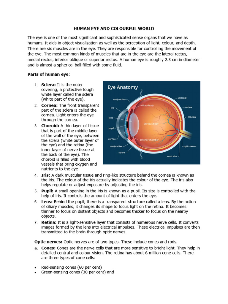 Human Eye and Colourful World | PDF | Myopia | Eye
