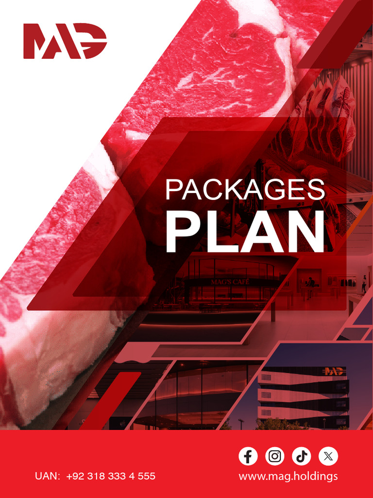 1-MAG Venture Partnership | PDF