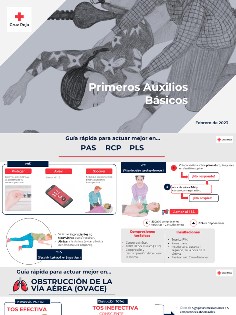 PPAABasicos Guiasrapidas | PDF | Reanimación cardiopulmonar | Herida