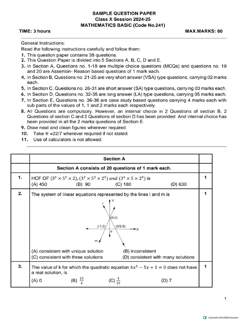 MathsBasic SQP | PDF