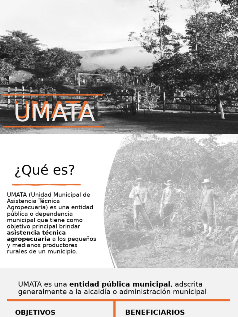 Qué es UMATA y su función agropecuaria | PDF | Agricultura | Agronomía