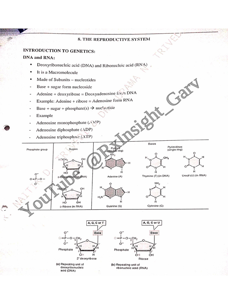 Introduction to Genetics HAP (Sem-2) | PDF