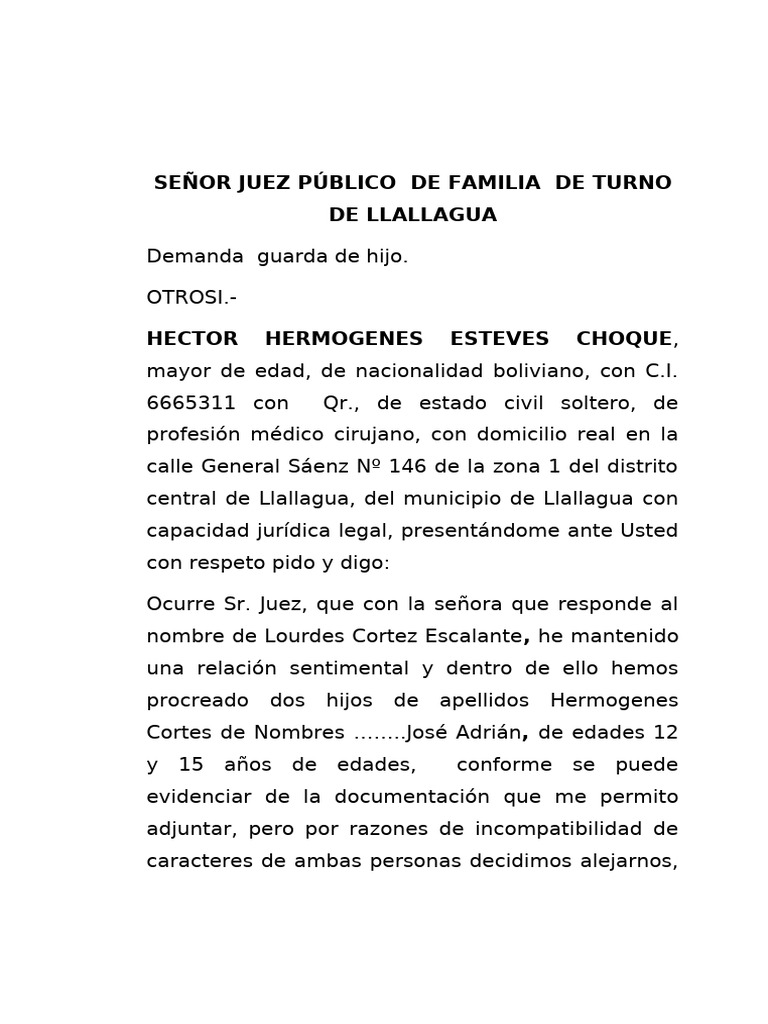 Demanda de Guarda de Adrian Jose Esteves | PDF | Debido al proceso ...
