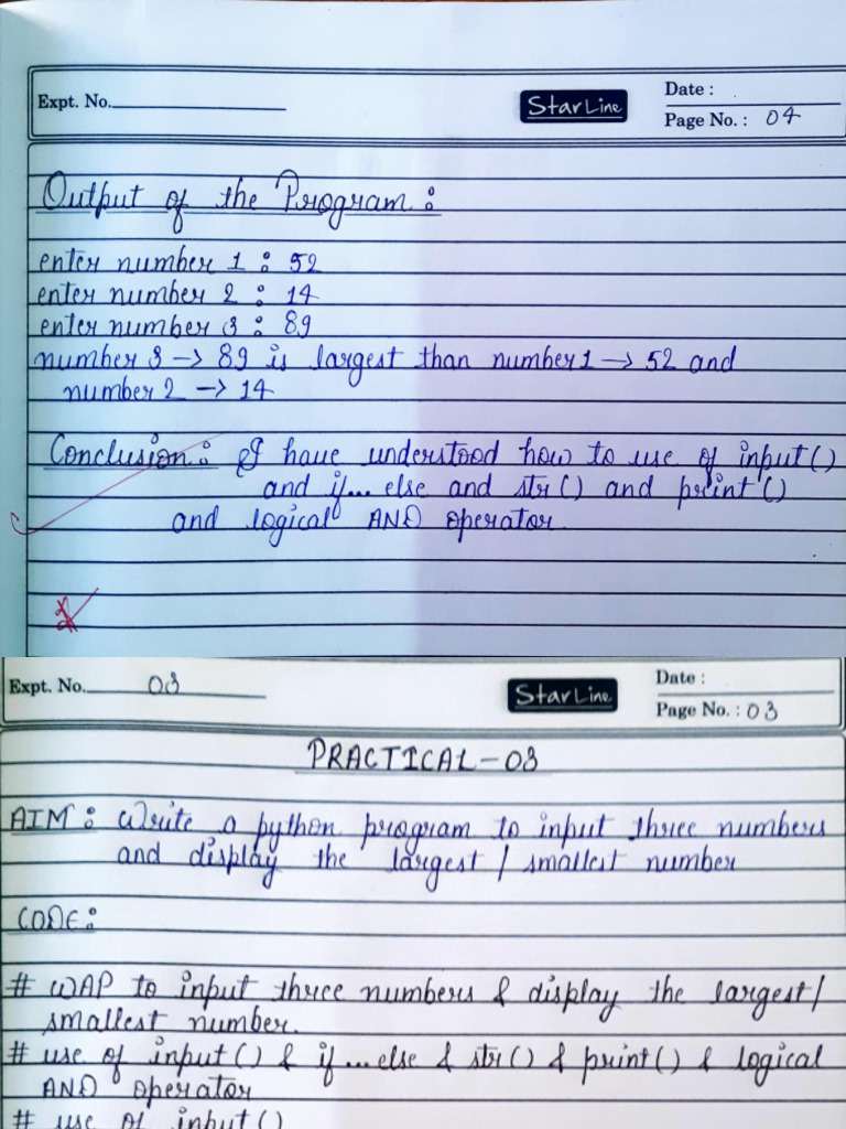 Class 11 IP Practical Notebook | PDF