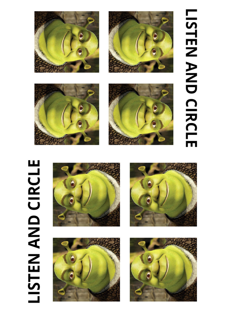 Parts of The Face Sherk | PDF