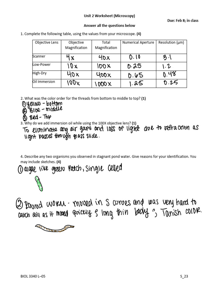 Unit 2 Worksheet - Feb8 | PDF