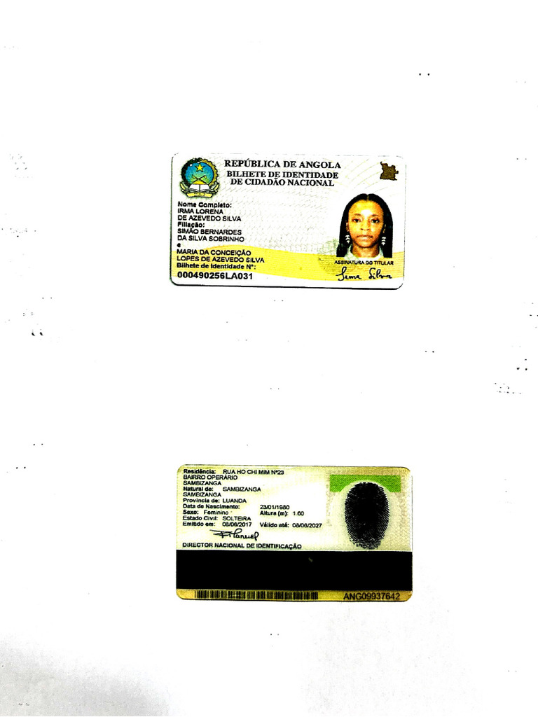 BI Irma Silva | PDF