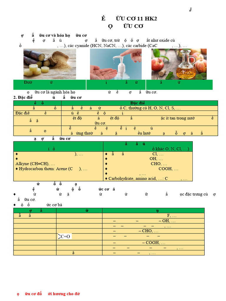 lý-thuyết-hữu-cơ-11-hk-2-1 (1) | PDF