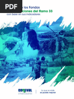 Resumen Ramo 33 | PDF | Contabilidad | México