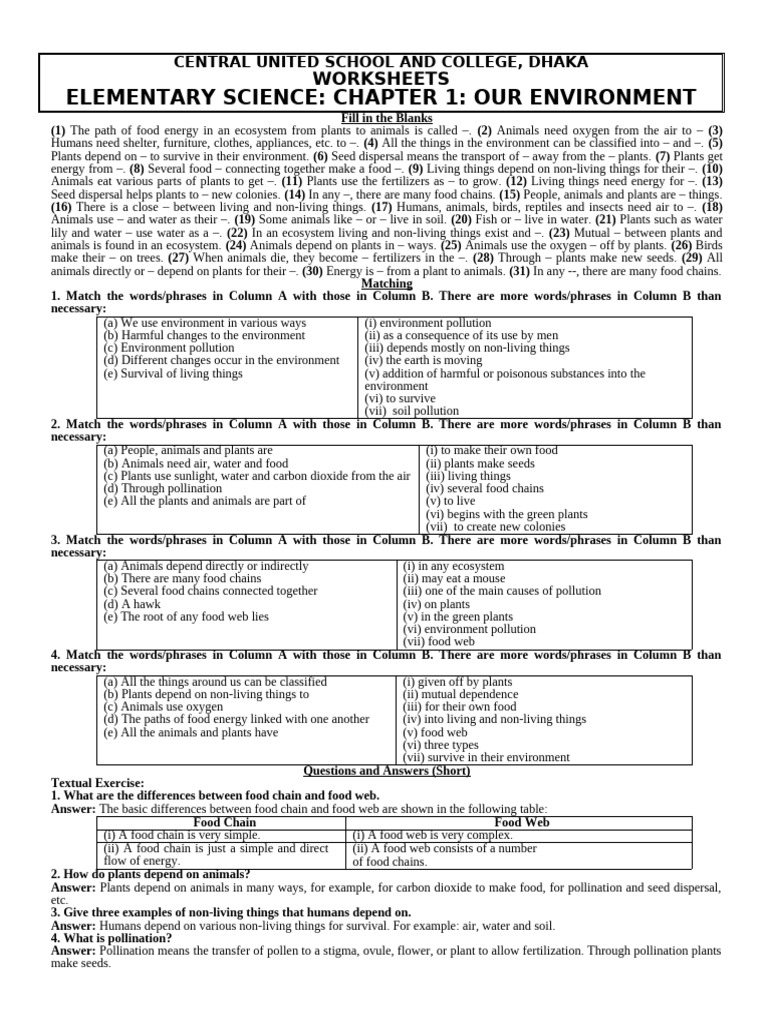 V Elementary Science Chapter 1 | PDF | Plants | Foods