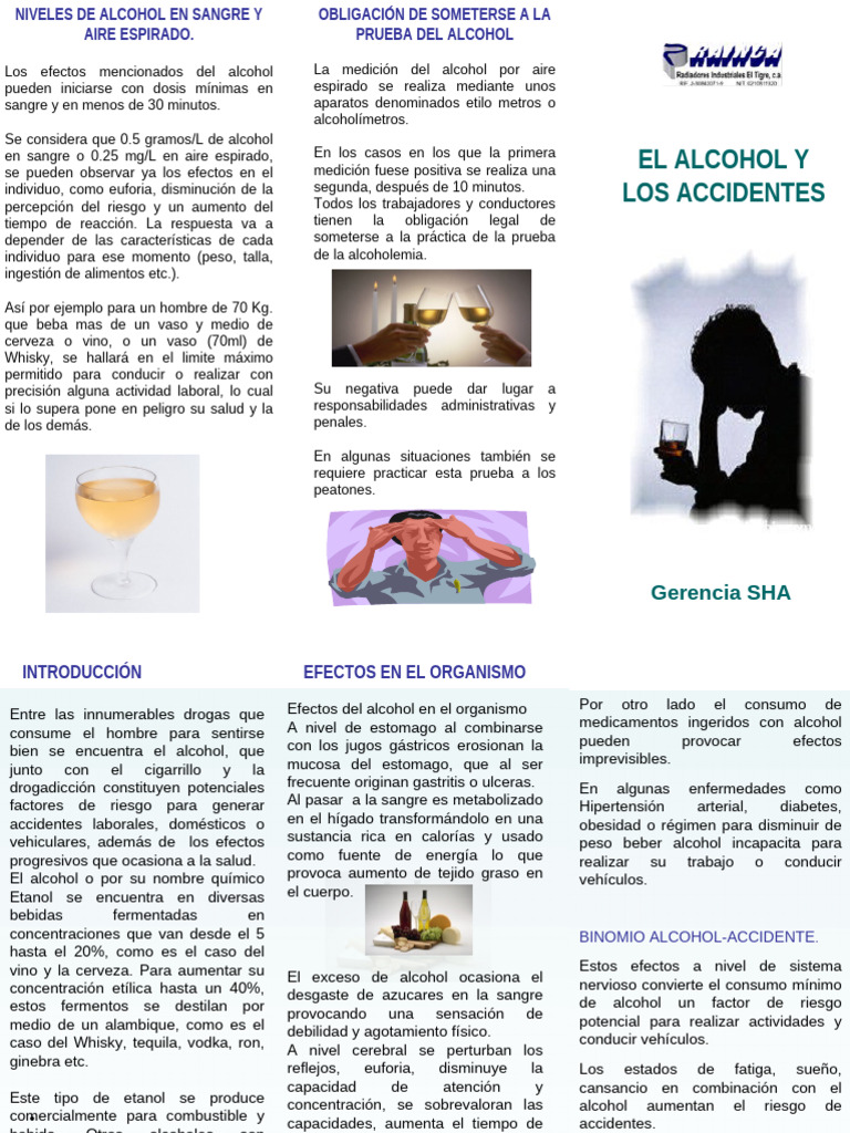Triptico Alcohol y Los Accidentes | PDF | Etanol